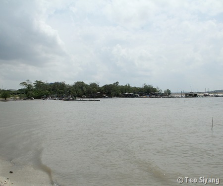 Urban Forest: Jenal Jetty Mangroves